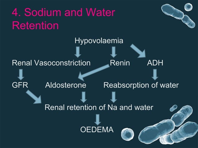Pathophysiology of edema | PPT | Blood Disorders | Diseases and Conditions