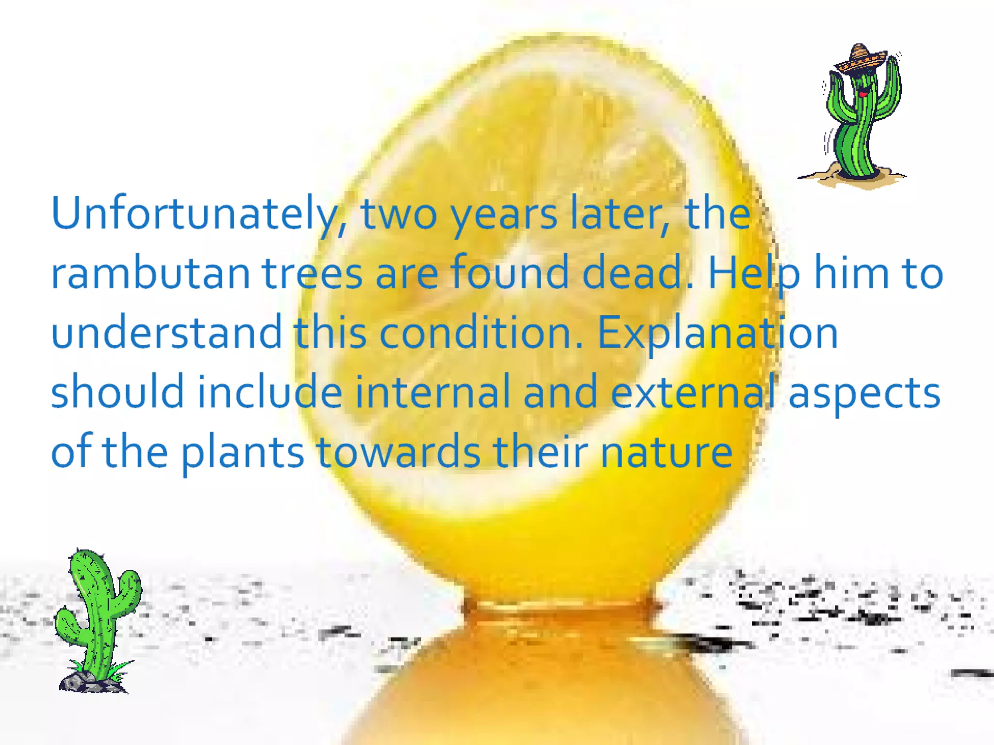 Pbl ( problem based learning) sem 1 plant anatomy | PPT