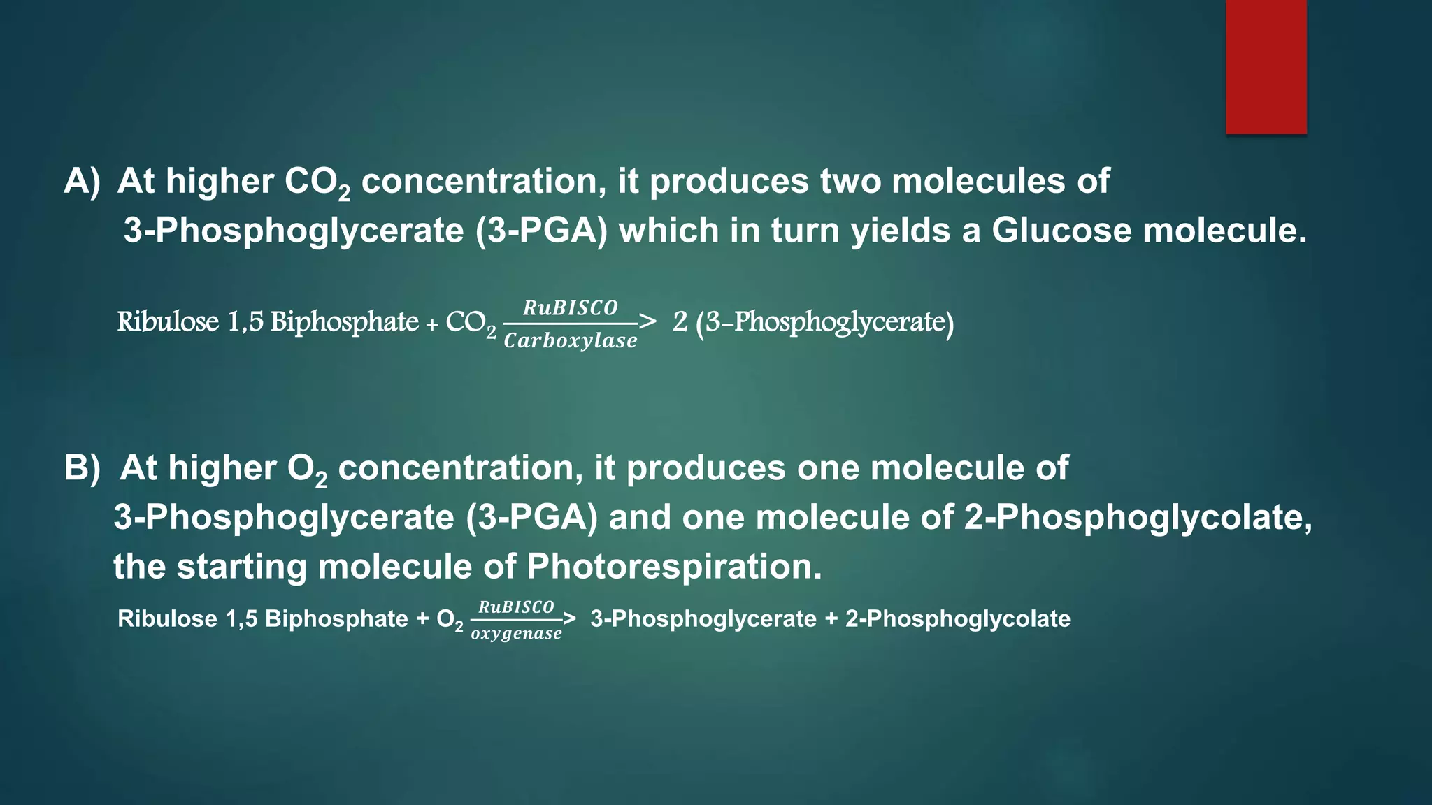 PHOTORESPIRATION | PPTX