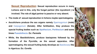 Lichens - A general Account | PDF