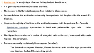 Lichens - A general Account | PDF