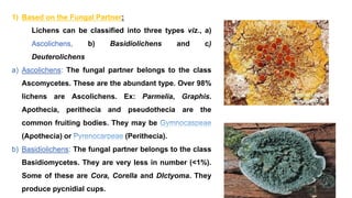 Lichens - A general Account | PDF