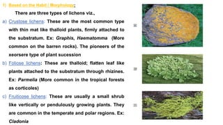 Lichens - A general Account | PPT