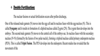 DOUBLE FERTILIZATION IN ANGIOSPERMS | PDF