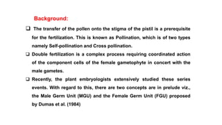 DOUBLE FERTILIZATION IN ANGIOSPERMS | PDF