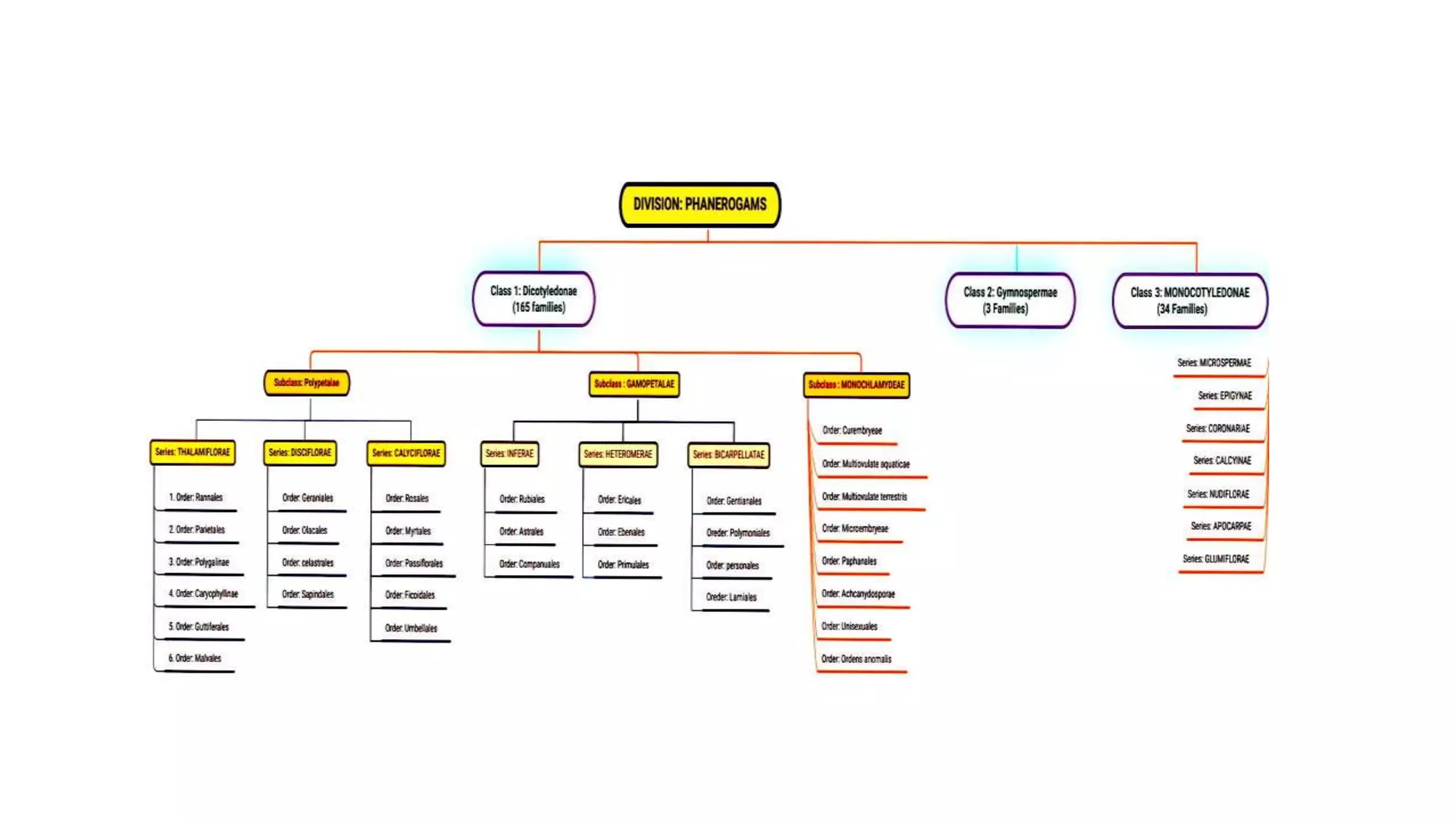 Systems of Plant Classification | PPTX