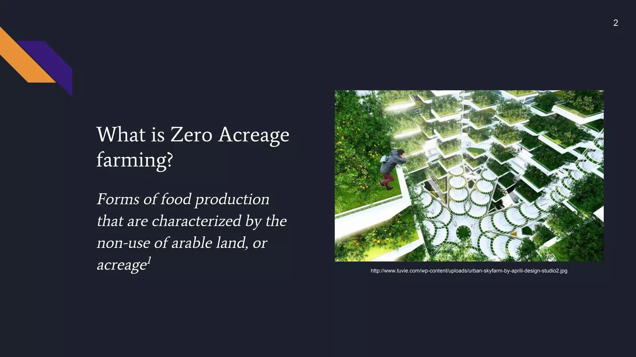 Zero Acreage Farming Solutions | PDF