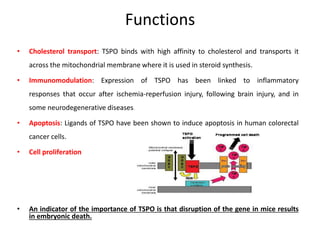 Peripheral Benzodiazepine Receptors | PPTX