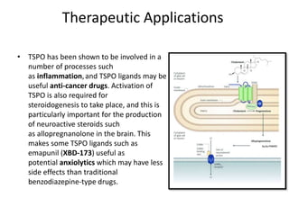 Peripheral Benzodiazepine Receptors | PPTX