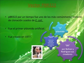 Vector PBR 322 | PPT