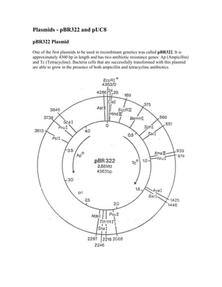Pbr322 and puc8 plasmids | DOC