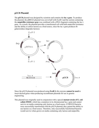 Pbr322 and puc8 plasmids | DOC