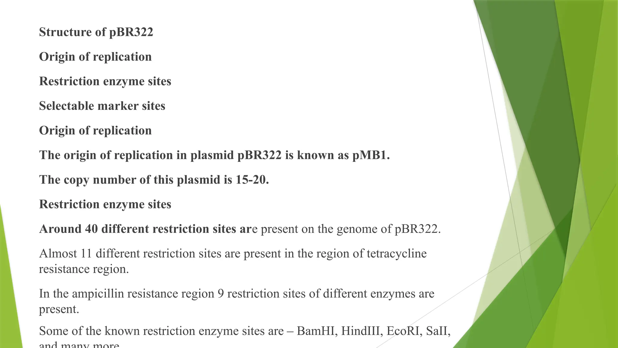 pBR 322 plasmid. Microbial biotechnology | PPTX