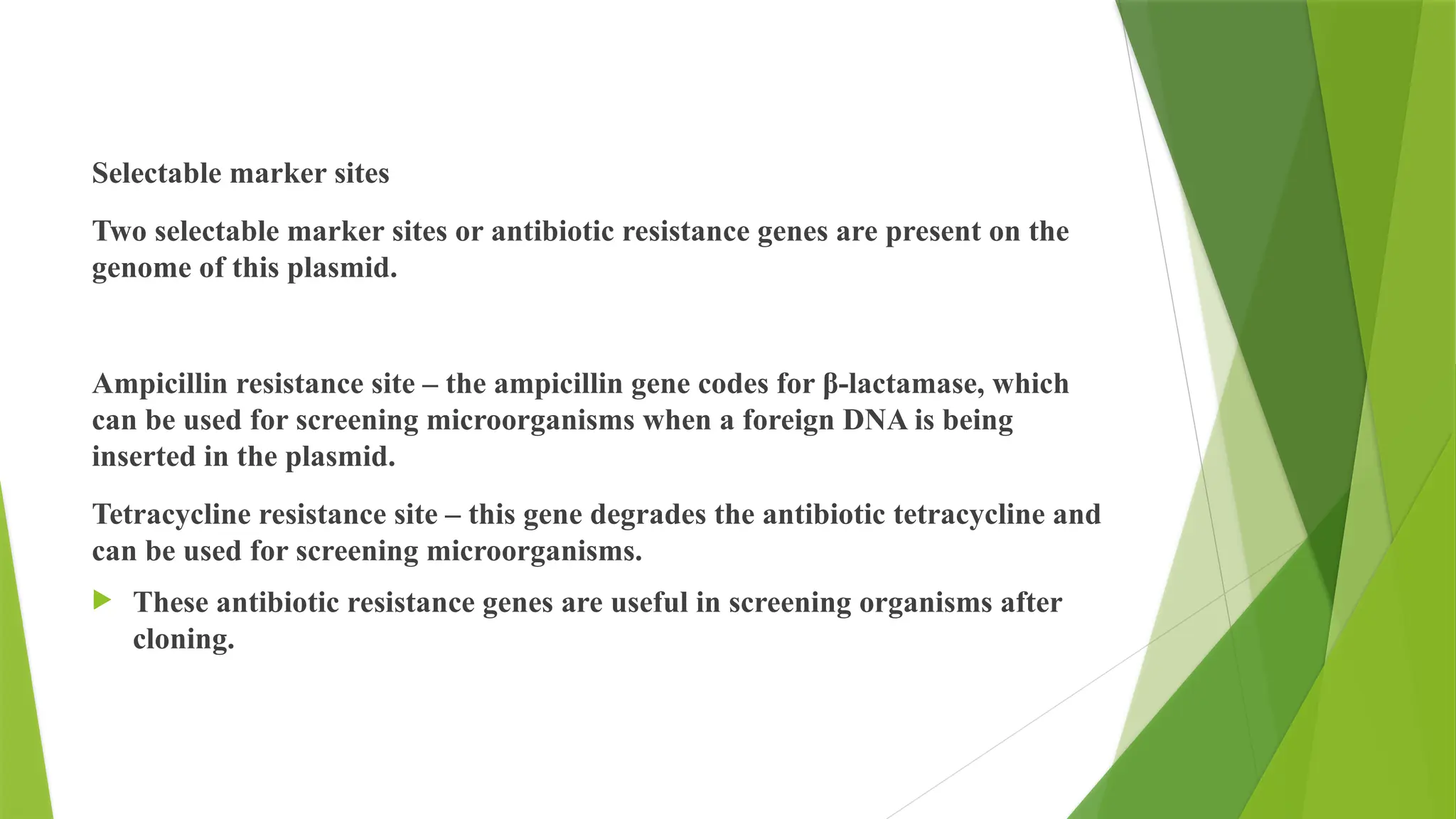 pBR 322 plasmid. Microbial biotechnology | PPTX