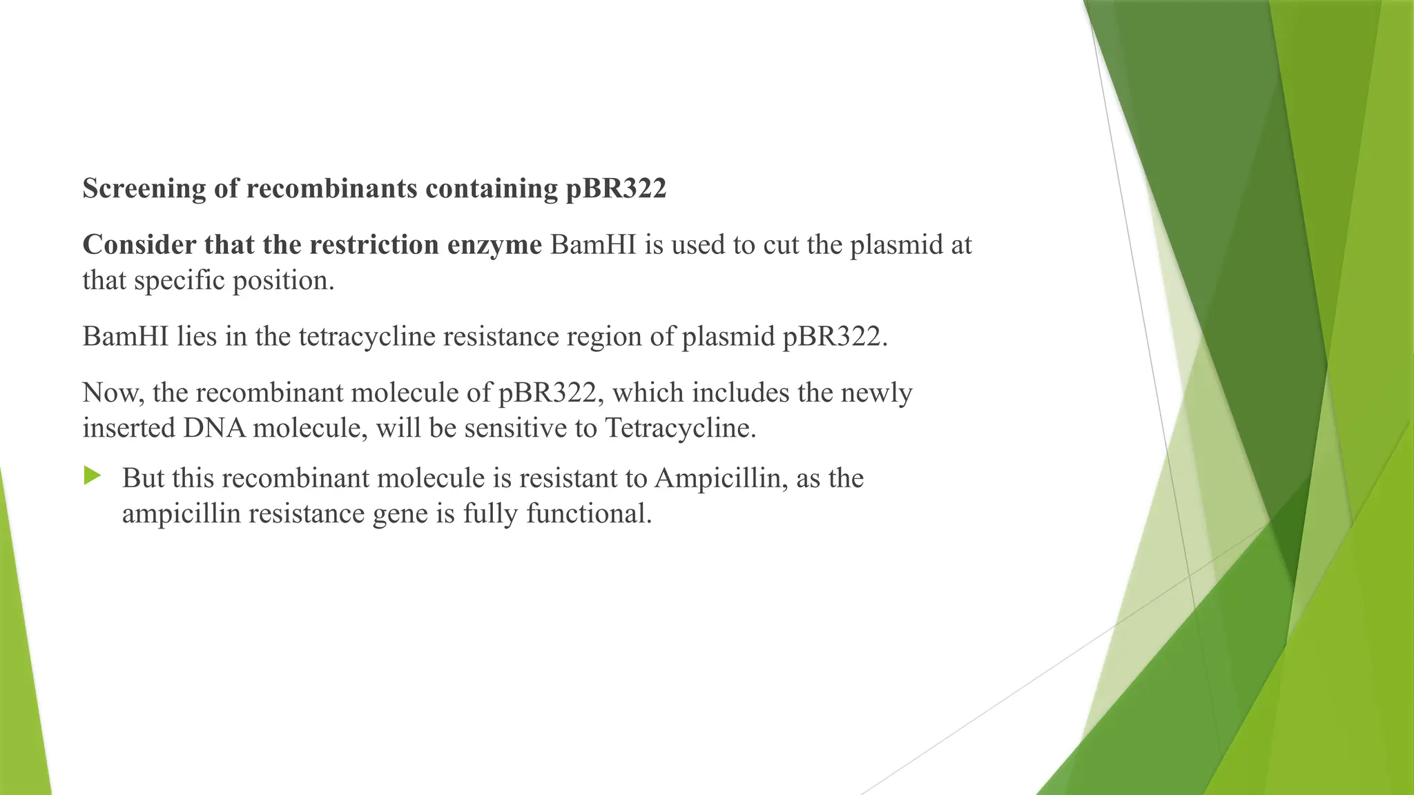 pBR 322 plasmid. Microbial biotechnology | PPTX