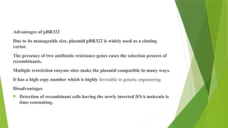 pBR 322 plasmid. Microbial biotechnology | PPTX