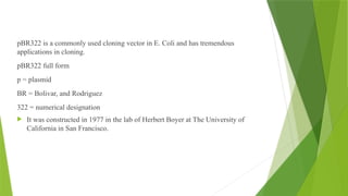 pBR 322 plasmid. Microbial biotechnology | PPTX | Biotech and ...