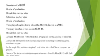 pBR 322 plasmid. Microbial biotechnology | PPTX