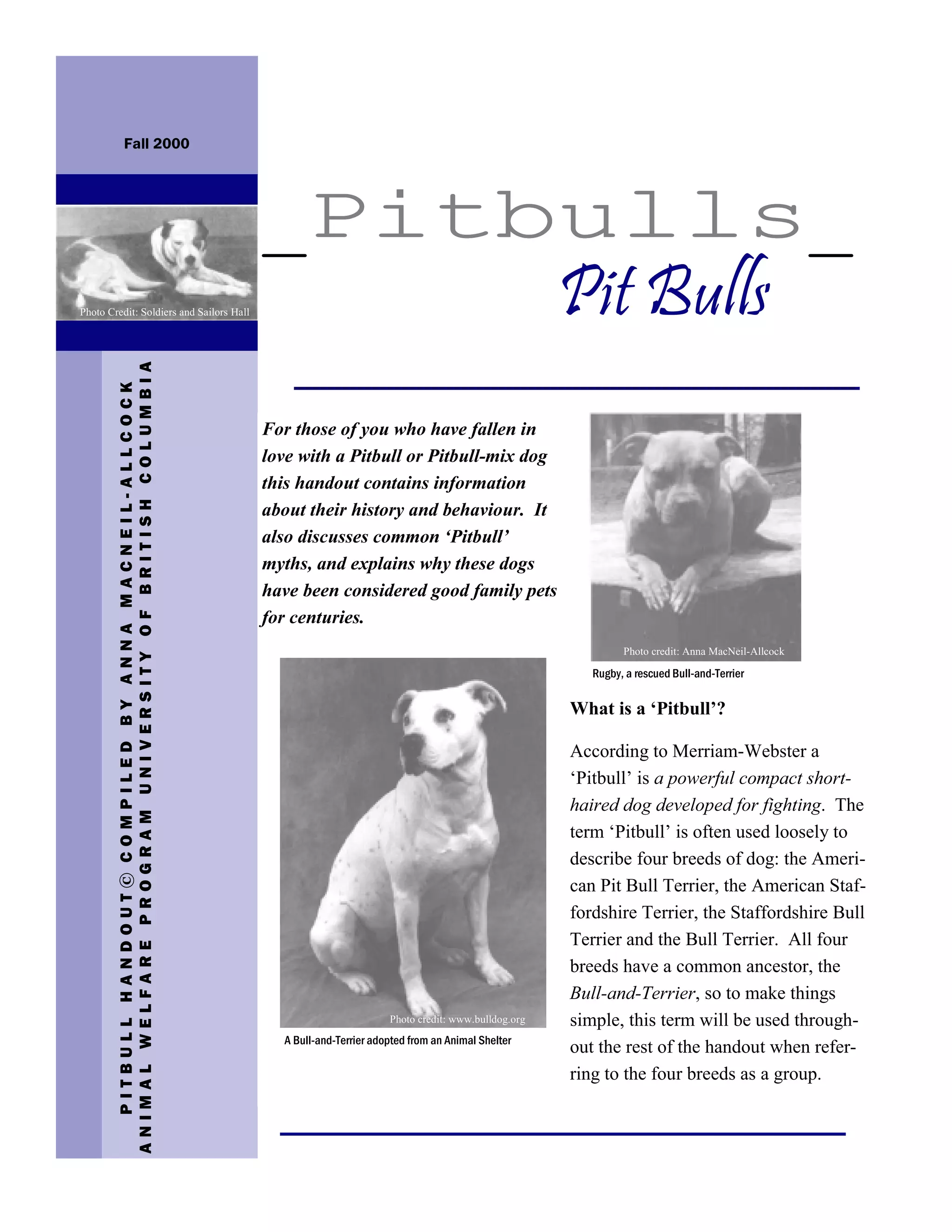 Pit Bulls - info, facts and education. | PDF