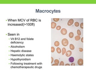 Peripheral Blood Smear Examination | PPTX