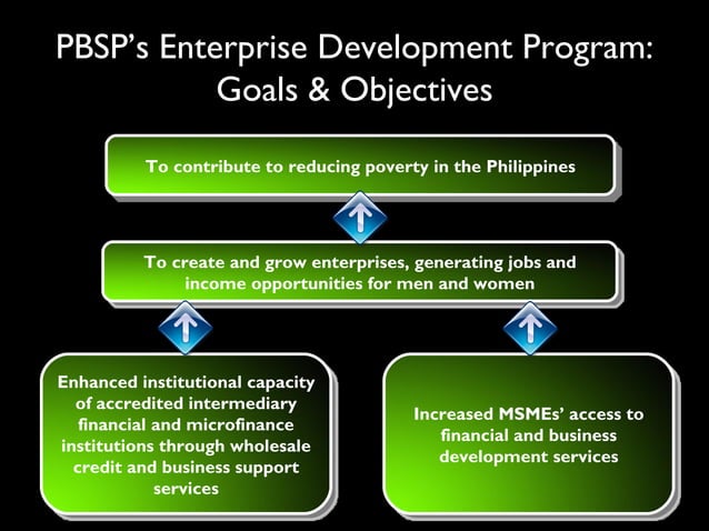 Enterprise Development Program | PDF