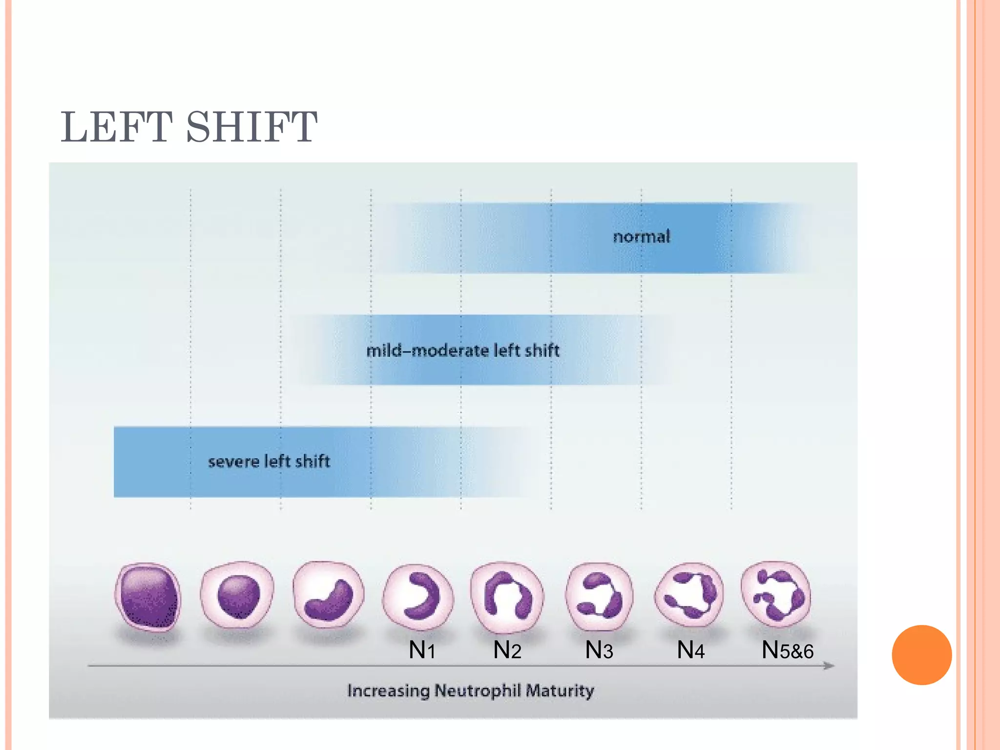 Peripheral blood Smear Preparation | PPT