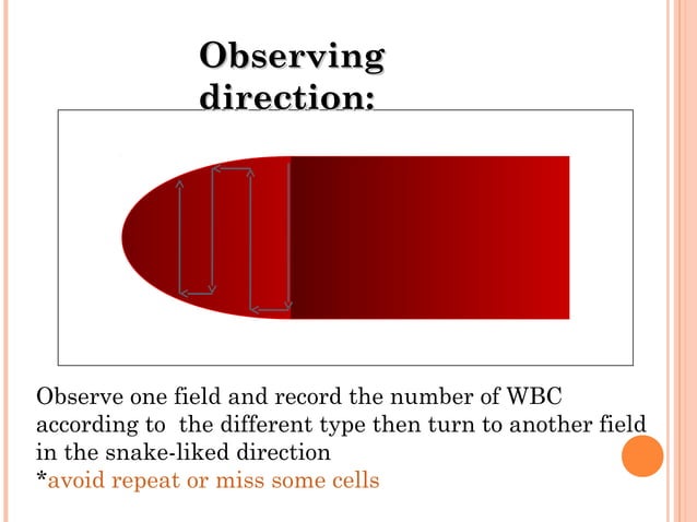 Peripheral blood Smear Preparation | PPT | Blood Disorders | Diseases ...