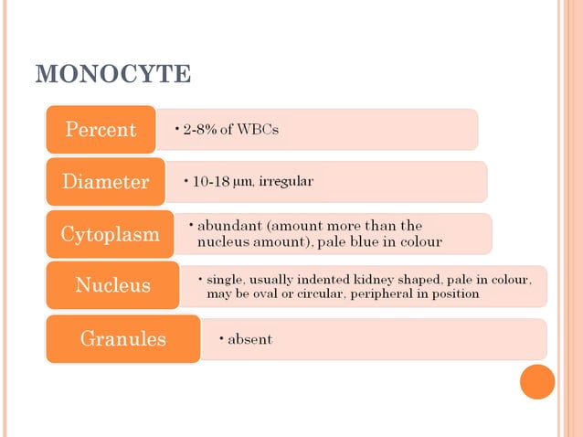 Peripheral blood Smear Preparation | PPT | Blood Disorders | Diseases ...
