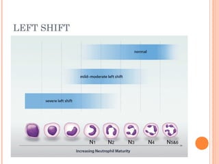 Peripheral blood Smear Preparation | PPT