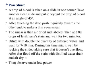 Peipheral blood smeasr and staining done | PPT