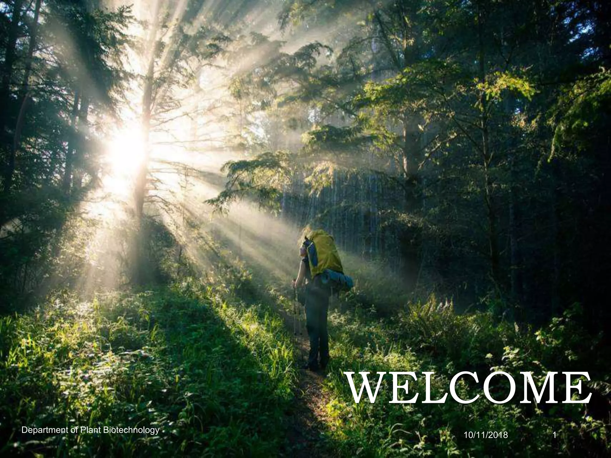 Cell biology of Lignification in plants | PPTX