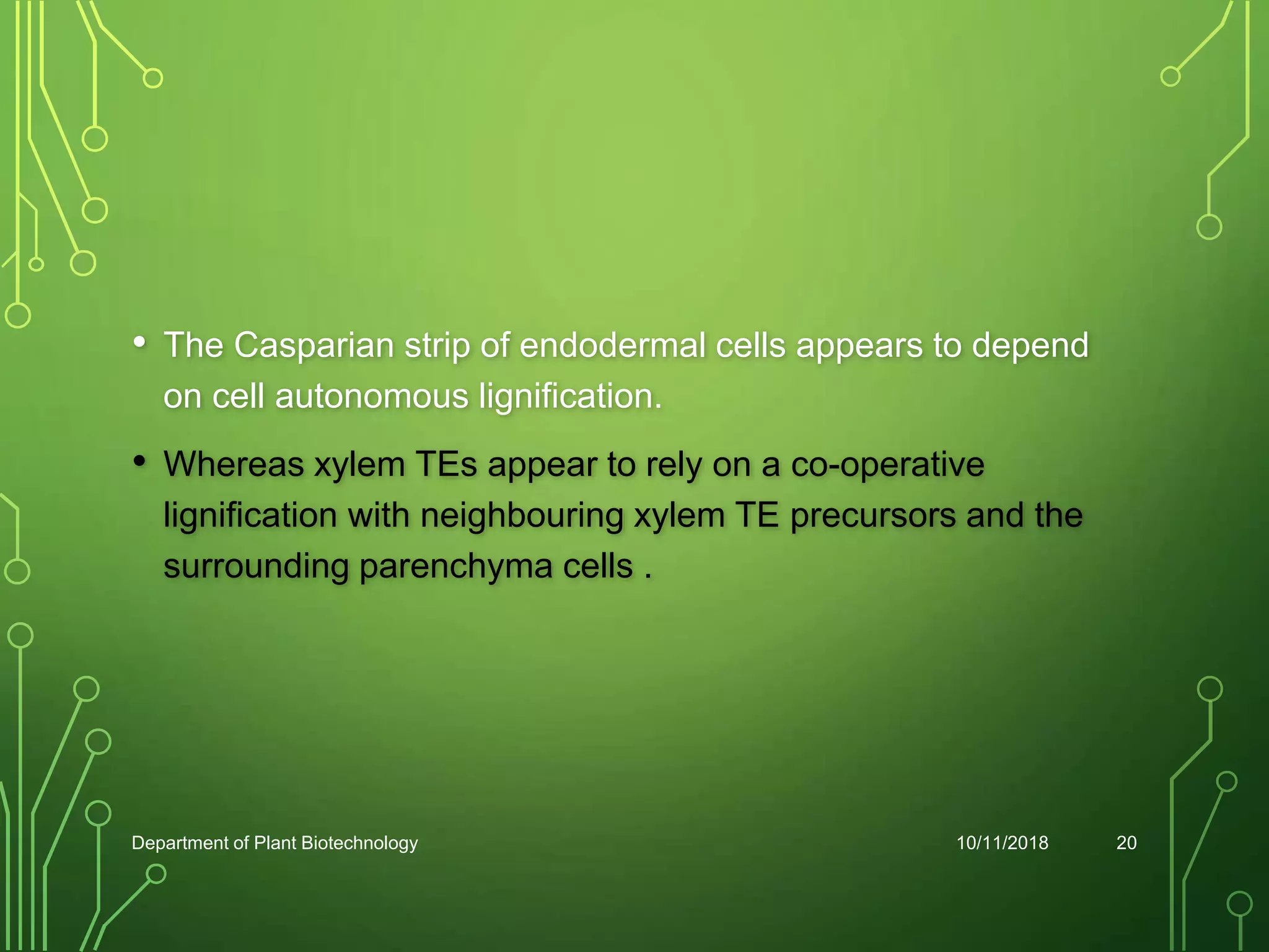 Cell biology of Lignification in plants | PPTX