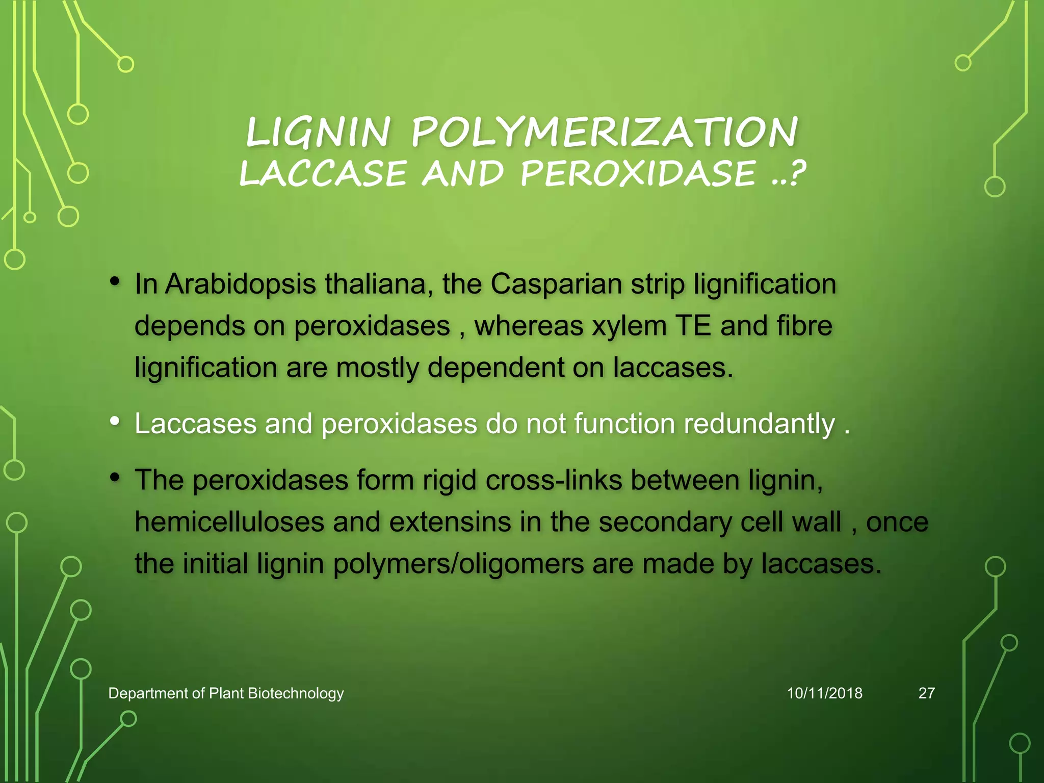 Cell biology of Lignification in plants | PPTX