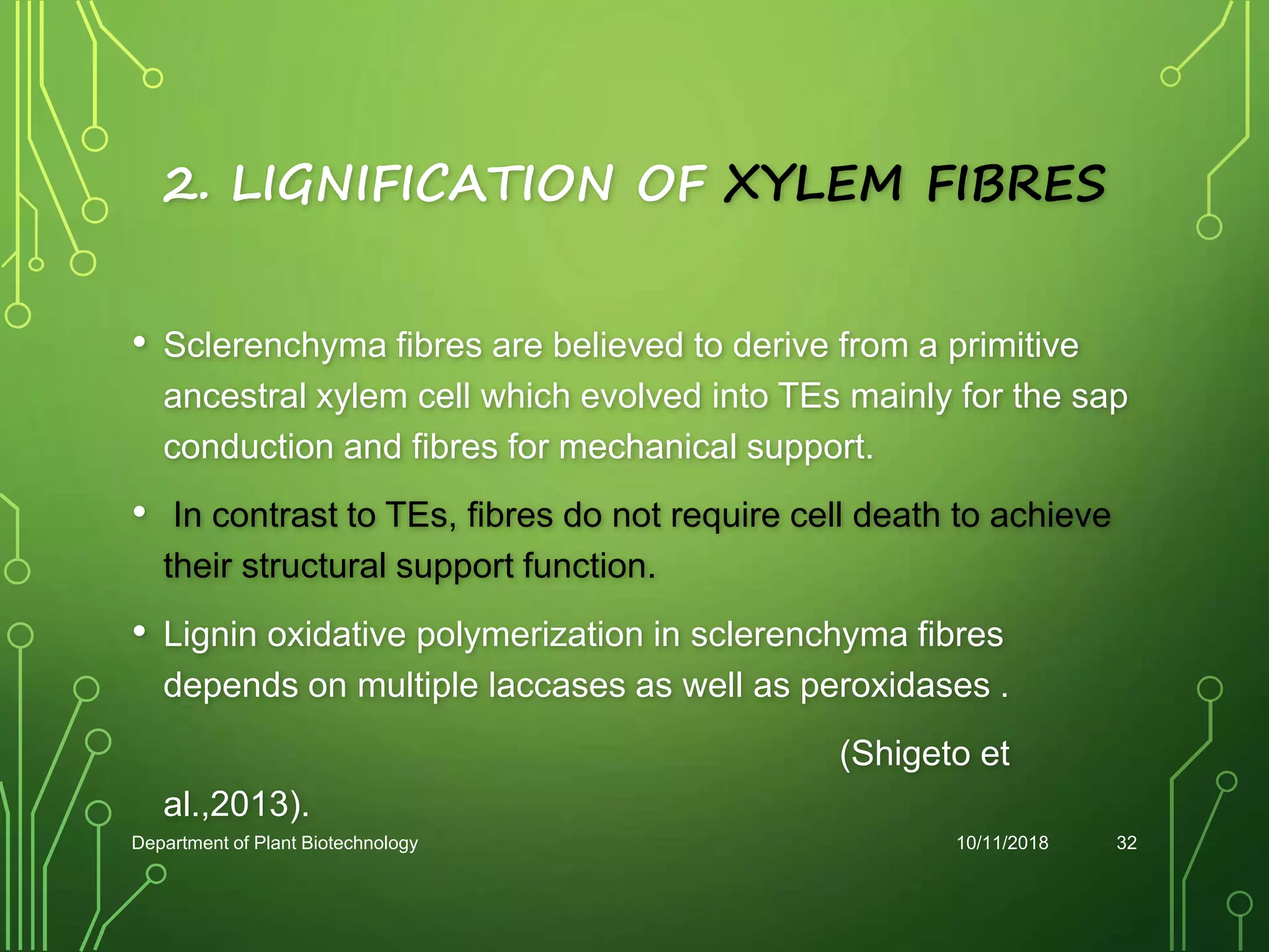 Cell biology of Lignification in plants | PPTX
