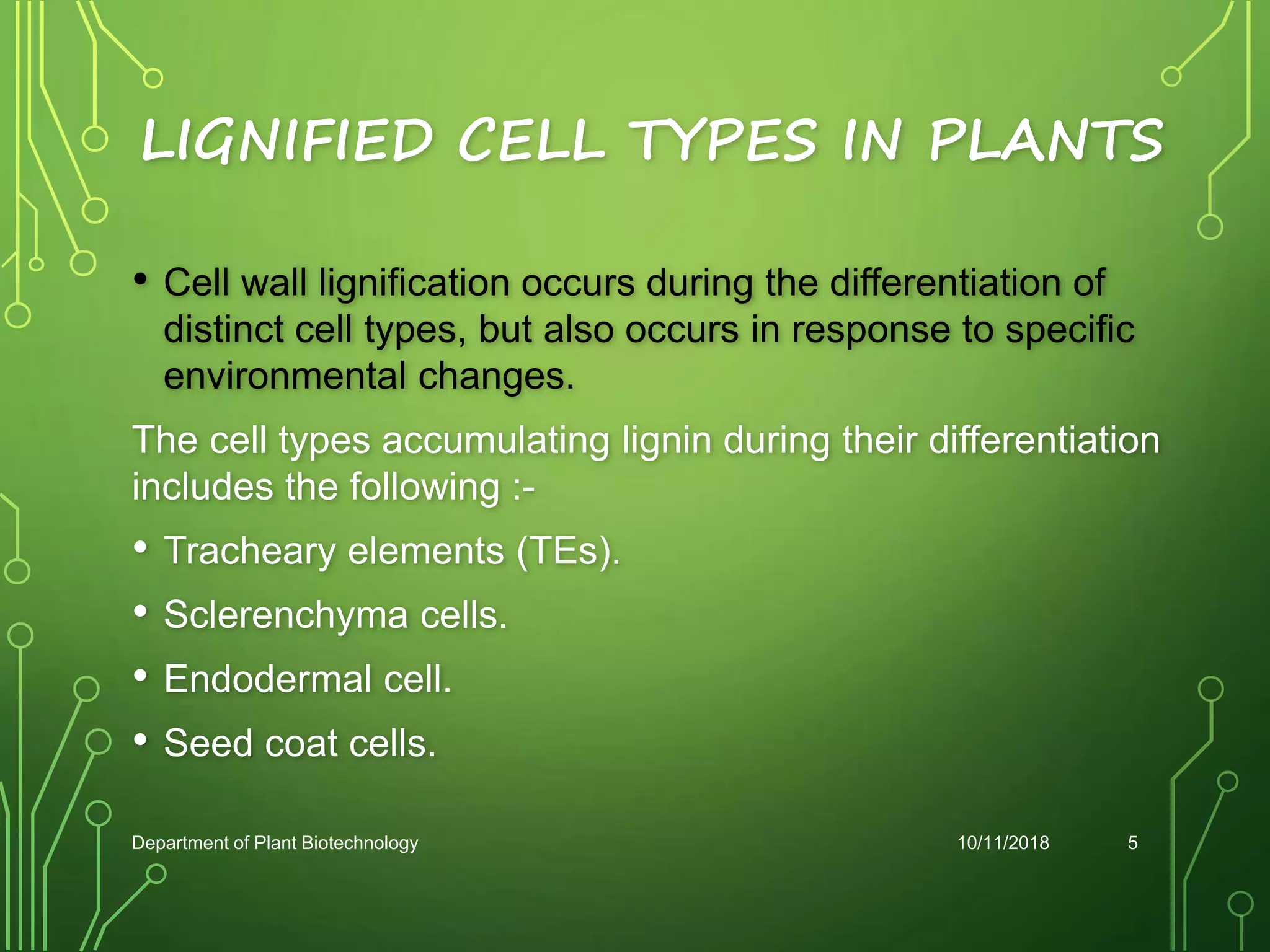 Cell biology of Lignification in plants | PPTX