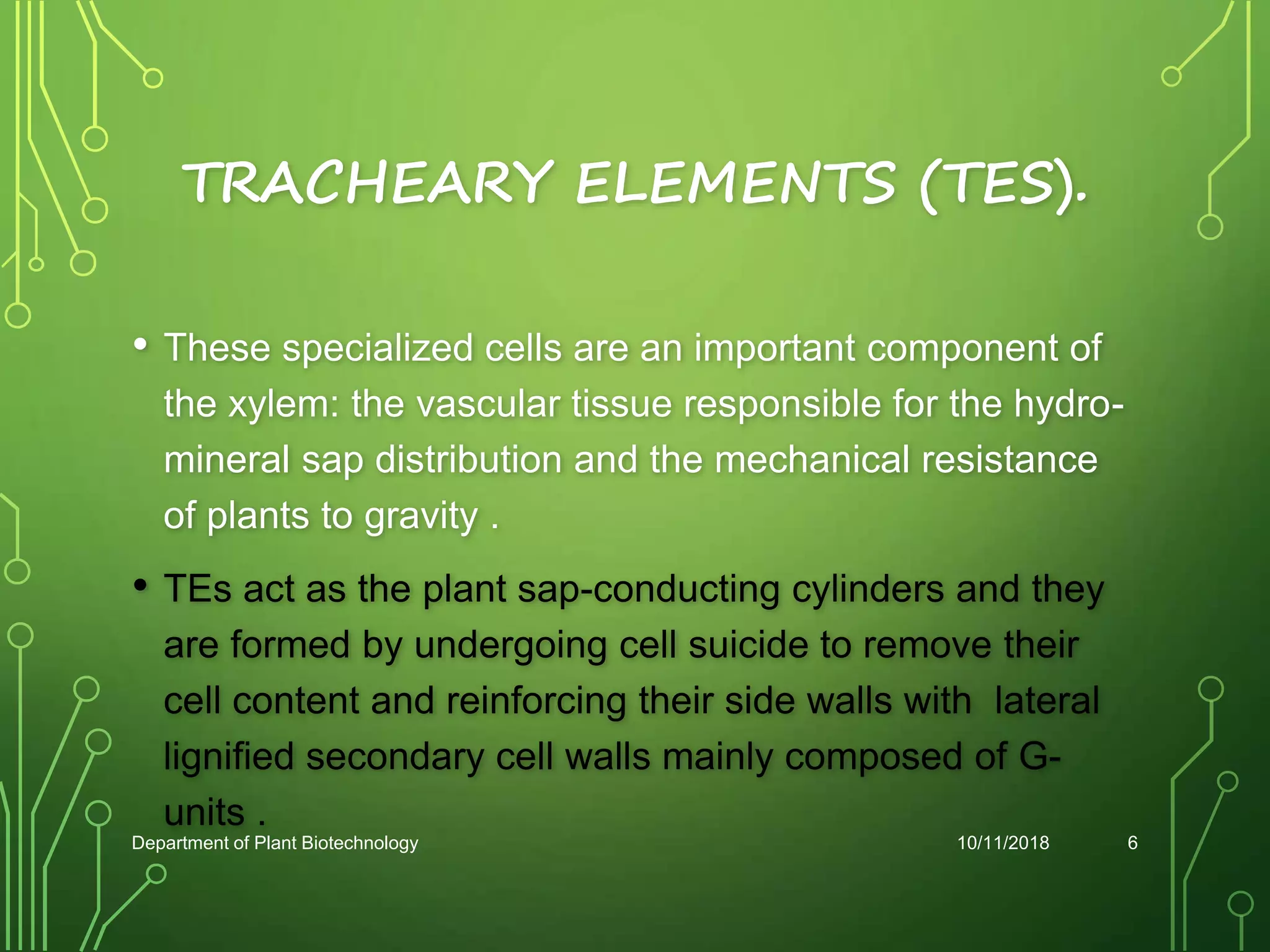 Cell biology of Lignification in plants | PPTX