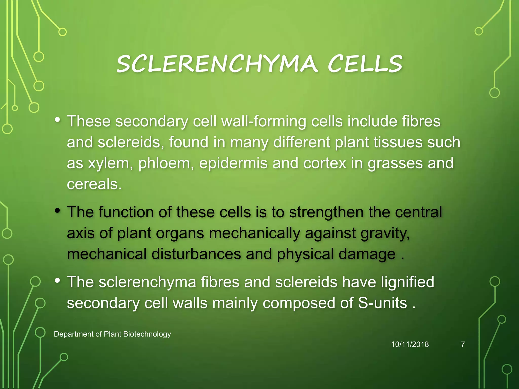 Cell biology of Lignification in plants | PPTX