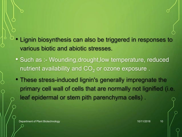 Cell biology of Lignification in plants | PPTX