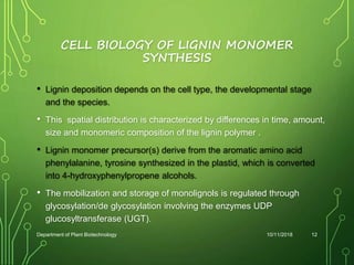 Cell biology of Lignification in plants | PPTX