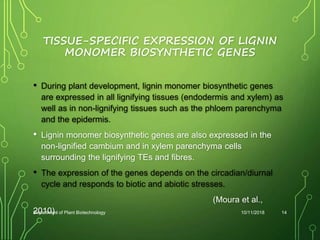 Cell biology of Lignification in plants | PPTX