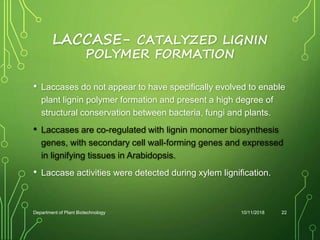 Cell biology of Lignification in plants | PPTX