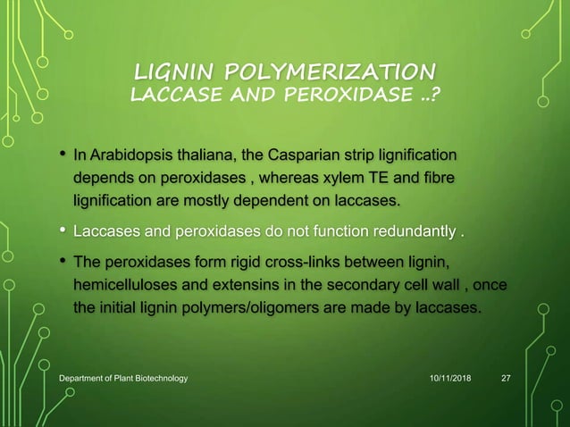 Cell biology of Lignification in plants | PPTX