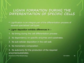 Cell biology of Lignification in plants | PPTX