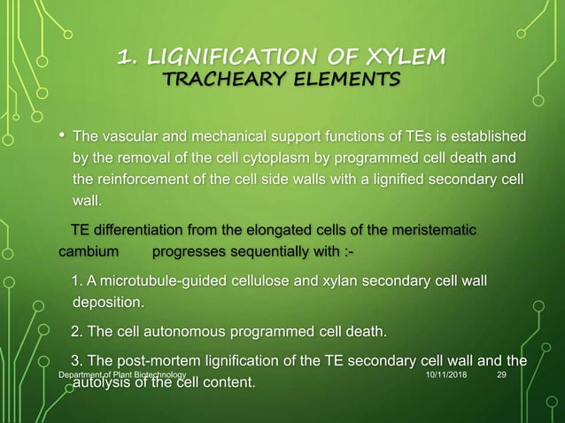 Cell biology of Lignification in plants | PPTX