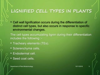 Cell biology of Lignification in plants | PPTX