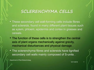 Cell biology of Lignification in plants | PPTX