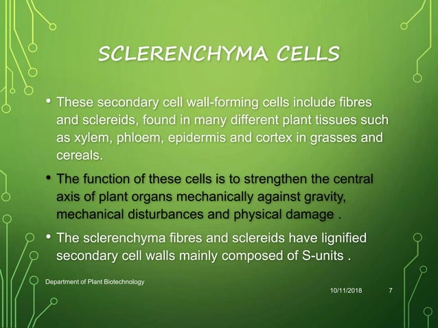 Cell biology of Lignification in plants | PPTX