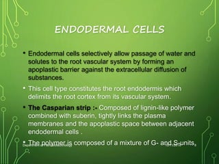 Cell biology of Lignification in plants | PPTX