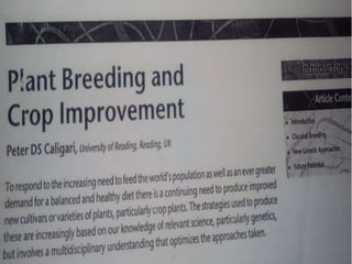 Plant Breeding And Transgenic Crop Comparative Approach | PPTX