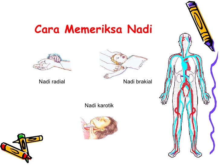 AR101 -POLIBRIGED ( PERTOLONGAN CEMAS)